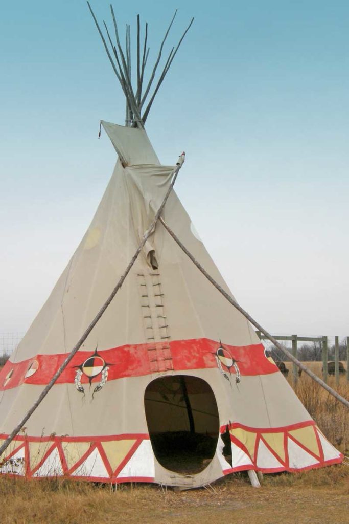 NATIVE HOMEOWNERSHIP